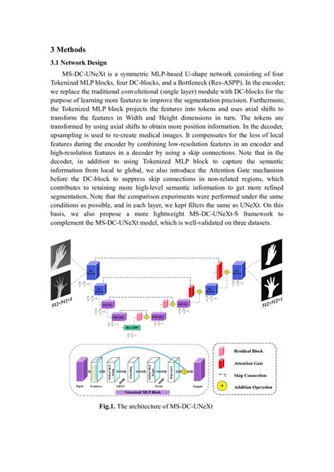 Ms Dc Unext An Mlp Based Multi Scale Feature Learning Framework For X