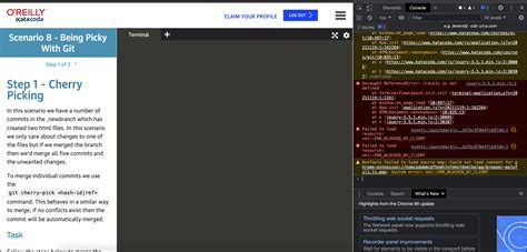 exercises not starting up on chrome web browser · issue 1339