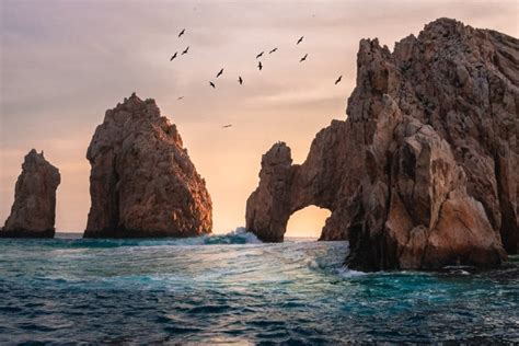 6 Razones Para Visitar La Paz Baja California Sur