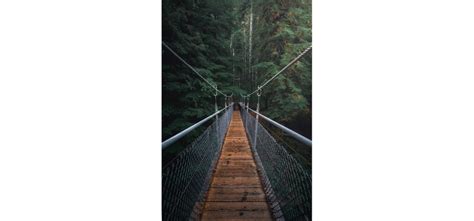 How To Resize An Image Using Opencv In Python Dev Community