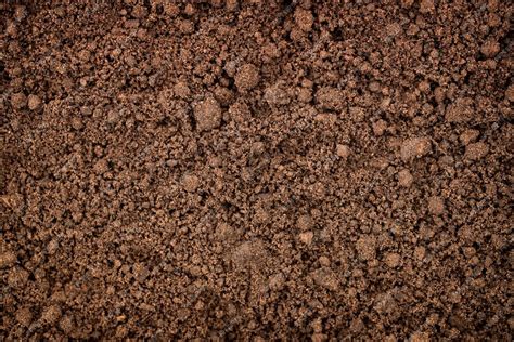 정원에서 비옥한 땅 배경 토양 질감 프리미엄 사진
