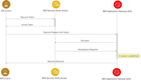 oauth with verify access