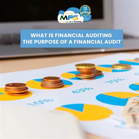 Corporate Tax Auditors Their Role In Uae And Their Importance