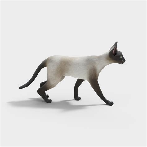 Realistic 3d Cat Model For Your Creative Projects