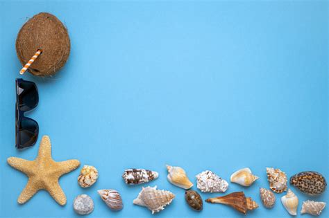 여름과 휴가 플랫은 선글라스 짚이 달린 코코넛 큰 별 물고기 파란색 배경에 그림의 아래쪽 가장자리에 다양한 조개껍데기가 놓여 있습니다 독일에 대한 스톡 사진 및 기타 이미지