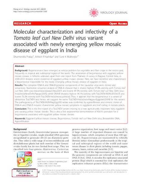 Pdf Molecular Characterization And Infectivity Of A Tomato Leaf Curl New Delhi Virus Variant