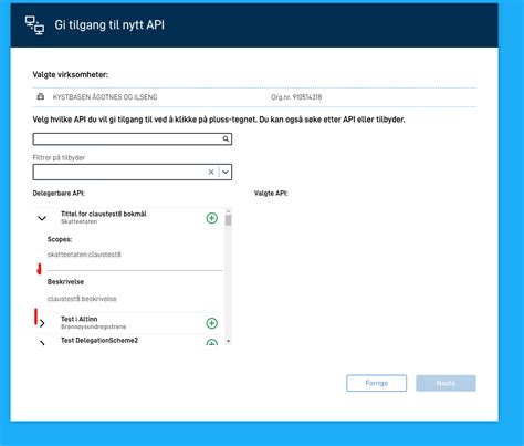 Api Delegering Dividing Line Between Scopes And Beskrivelse · Issue