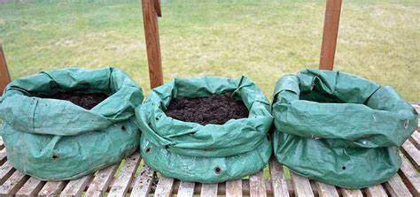 7 Expert Tips For Winter Composting In Cold Climates Farming Pedia