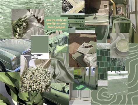 100 Olive Greenaesthetic Desktop Wallpapers