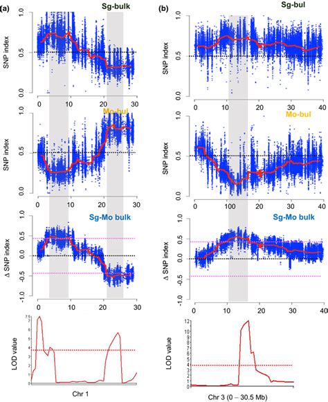 Identification And Validation Of Three Candidate Qtls In Chromosomes 1 Download Scientific