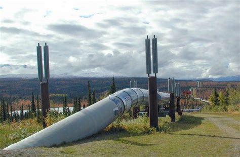 Protecting The Permafrost The Trans Alaska Pipeline Rises Above The Ground To Cross A Region Of