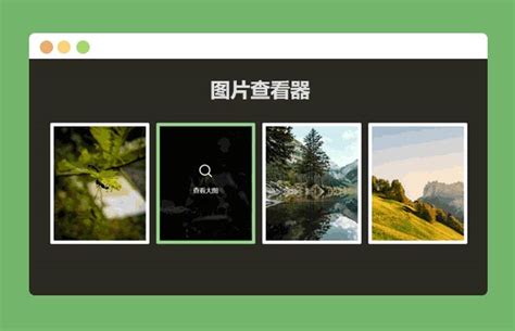 js网页特效 jquery特效插件 企业建站模板 php实例教程 网站建设源码 it学习视频教程 站长工具 站长素材网