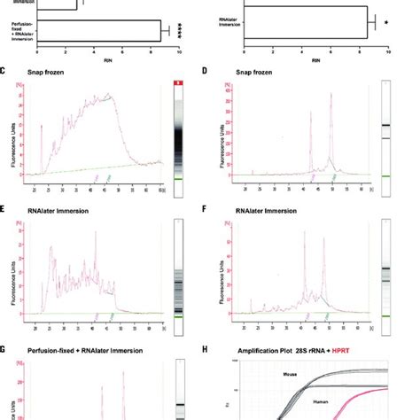 Rna Quality Obtained Using Different Isolation Methods A Comparison Download Scientific