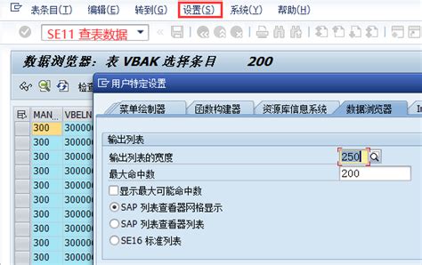 深入源码探索：sap 标准报表怎样实现不同「报表格式 清单类型」的输出？ sap怎么设置报表显示格式 csdn博客