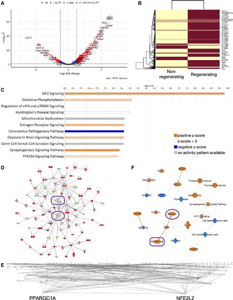 Figure From Deep ScRNA Sequencing Reveals A Broadly Applicable Regeneration Classifier And