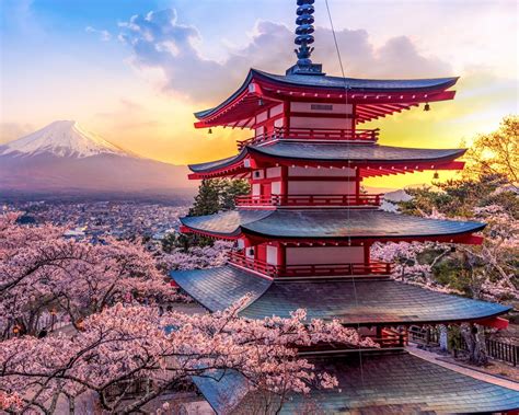 Japón Fascinante Precio Us3429