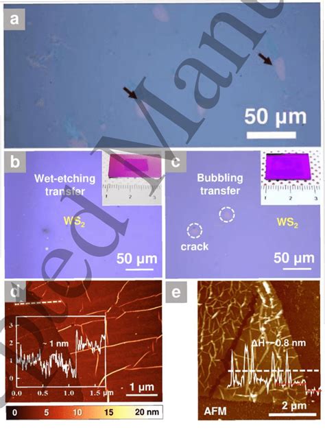 A Optical Image Of Transferred Mos2 On Sio2 Si The Arrows Indicate