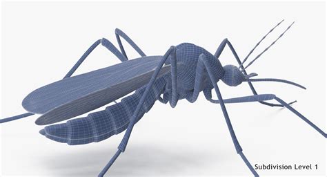 모기 서 3d 모델 89 Obj C4d Max Free3d
