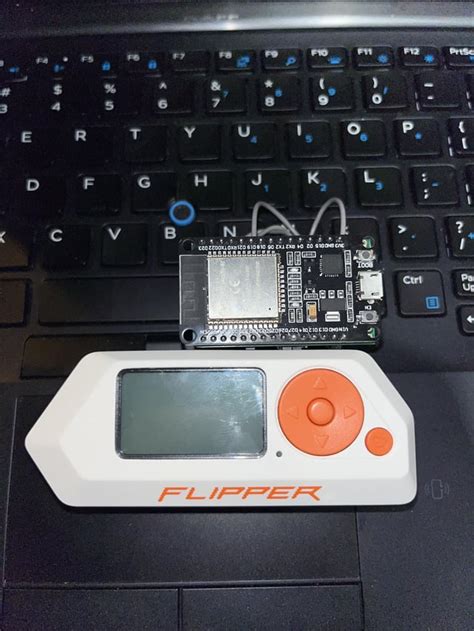 What You Think Rflipperzero