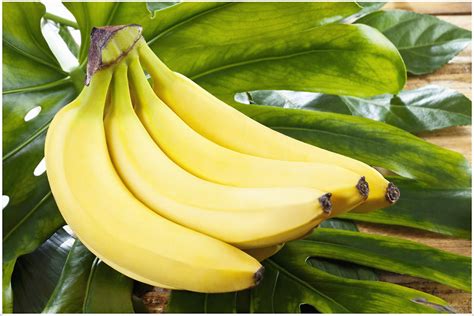 운동 전 에너지 섭취 음식은