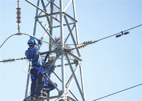 智能激光驱鸟器防鸟设备电力驱鸟定制价格批发厂家 深圳真驱鸟科技