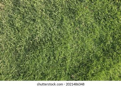 Enscape Rendering Images Stock Photos Vectors Shutterstock