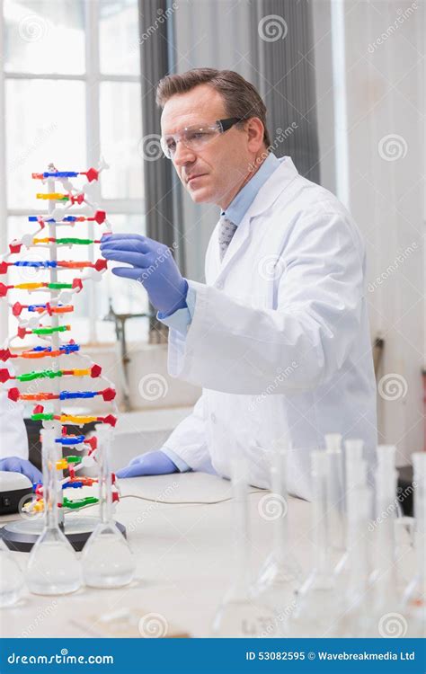 Scientist Analysing Dna Helix Stock Image Image Of Medicine Helix
