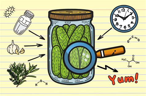 Stinky And Delicious Why Fermentation Makes Great Food