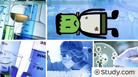 Artificial Selection Overview Processes And Examples Lesson