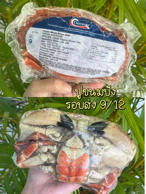 ปูขนมปังรอบส่ง 9 12 แกลเลอรีที่โพสต์โดย Fongbeer👸🏼 Lemon8