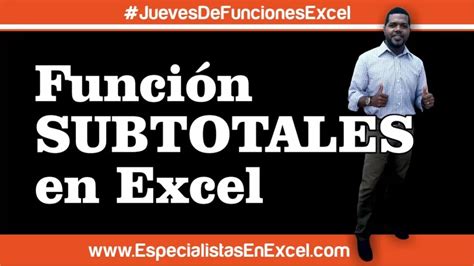 Función Subtotales En Excel Especialistas En Excel