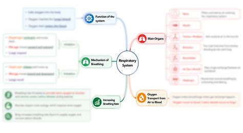 Cambridge Primary Science 6 12 The Respiratory System Mind Map