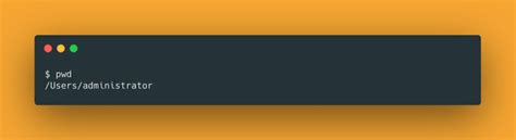 16 Bash Commands Data Scientists Must Know Built In