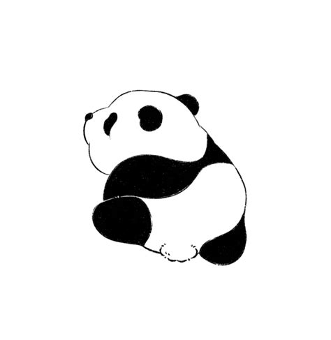 小熊猫背影手绘 小红书