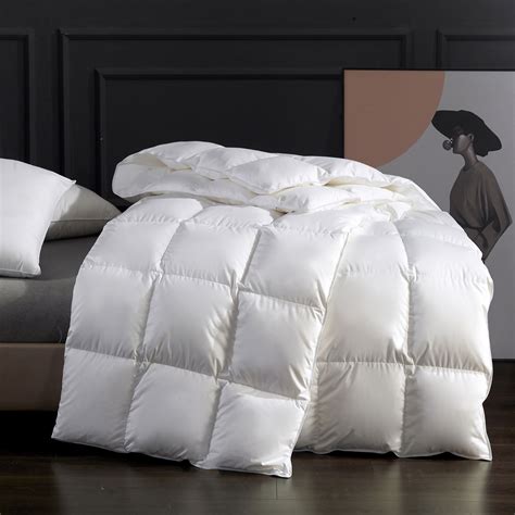 Alwyn Home Luxurious Fluffy Goose Feather Down Comforter Medium Warmth