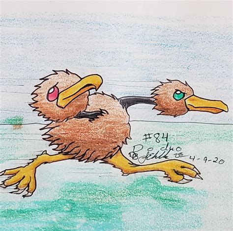 Day 128 Of The 151 Doduo Album On Imgur