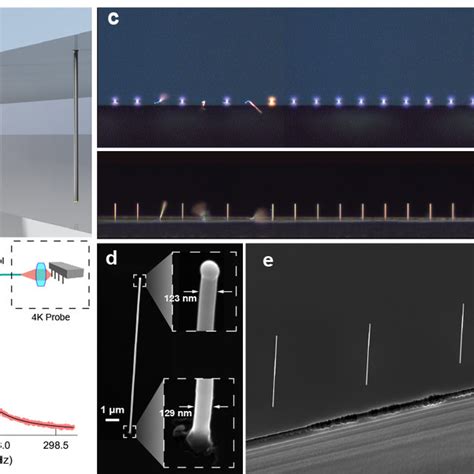 A Rendering Of Sinw Array With Displacement Detection Laser B Top