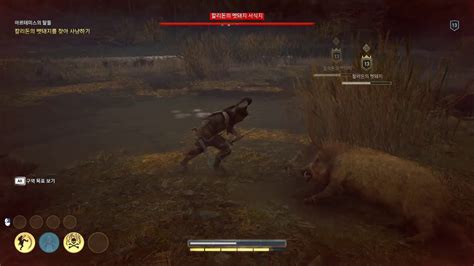 어세신크리드 오디세이아르테미스의 딸들 칼리돈의 멧돼지악몽 Youtube