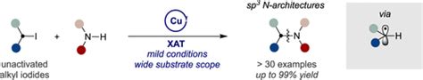Cu Catalyzed C Sp3 Amination Of Unactivated Secondary Alkyl Iodides Promoted By Diaryliodonium