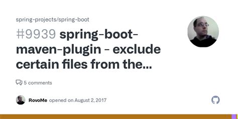 Spring Boot Maven Plugin Exclude Certain Files From The Fat Jar
