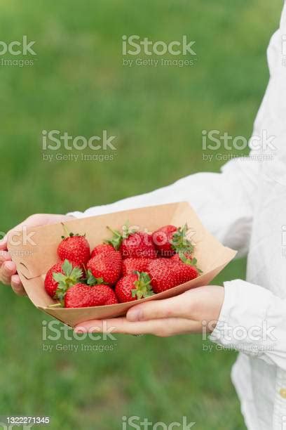 손에 딸기를 들고 녹색 배경에 일회용 에코 플레이트에 딸기 제철 레드 베리 0명에 대한 스톡 사진 및 기타 이미지 0명