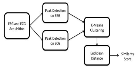 Eegecg Signal Fusion Aimed At Biometric Recognition Silvio Barra Phd
