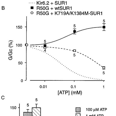 A Macroscopic Currents Recorded From Inside Out Patches Excised From