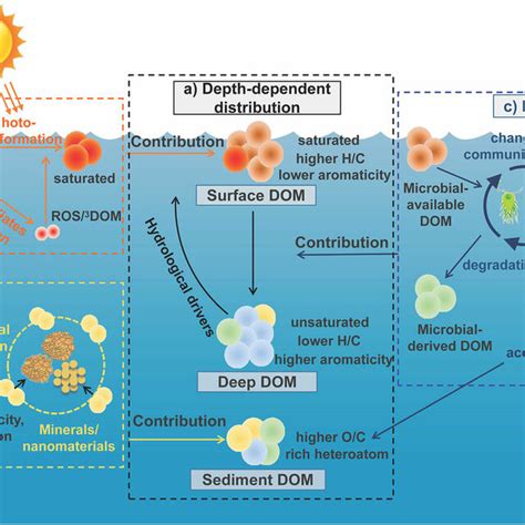 Pdf Molecular Level Exploration Of Properties Of Dissolved Organic