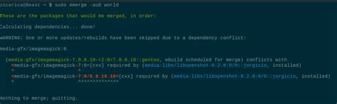 How Can I Fix Dependency Conflict In E Its First Time This Happend To Me Rgentoo