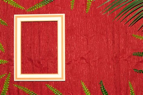 프레임의 왼쪽 빨간색 배경에 나무 프레임과 그 옆에있는 복사 공간 배경 프레임에 정글 잎 창조적 인 예술 디자인 현대 복고풍