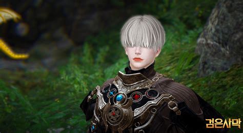 [스크린샷 And 영상] [위자드] 검사에 첫캐릭 위자드 검은사막 한국