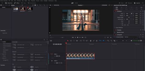 2 Methods To Fake Depth Of Field In Davinci Resolve Bokeh Effect