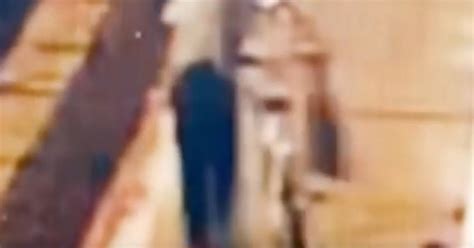 돈 있는 줄 알고 훔쳐”한강 다리 투신 시도女 가방 들고튀었다