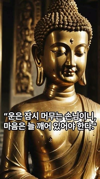 운이 풀릴 때 나타나는 부처님의 한마디명언 마음의소리로쓰는글 좋은글 위로 지혜 지식 긍정의말 긍정적마인드 인생